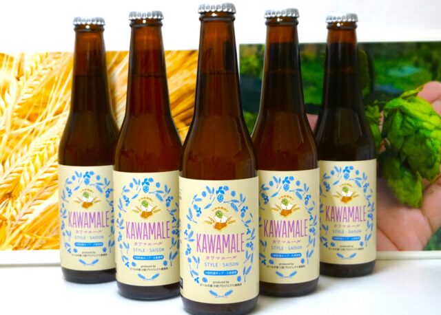 SANDi BREWERY | BEERTIFUL MAP