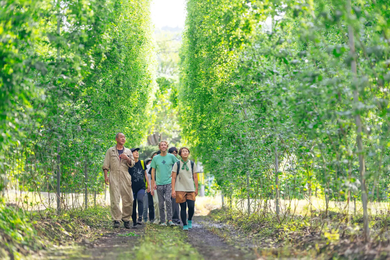 ホップの産地で飲んで味わうビアフェス「遠野ホップ収穫祭2024」 | BEERTIFUL MAP